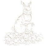 Black Rabbit, Arundel | Country Pub & Restaurant by the River