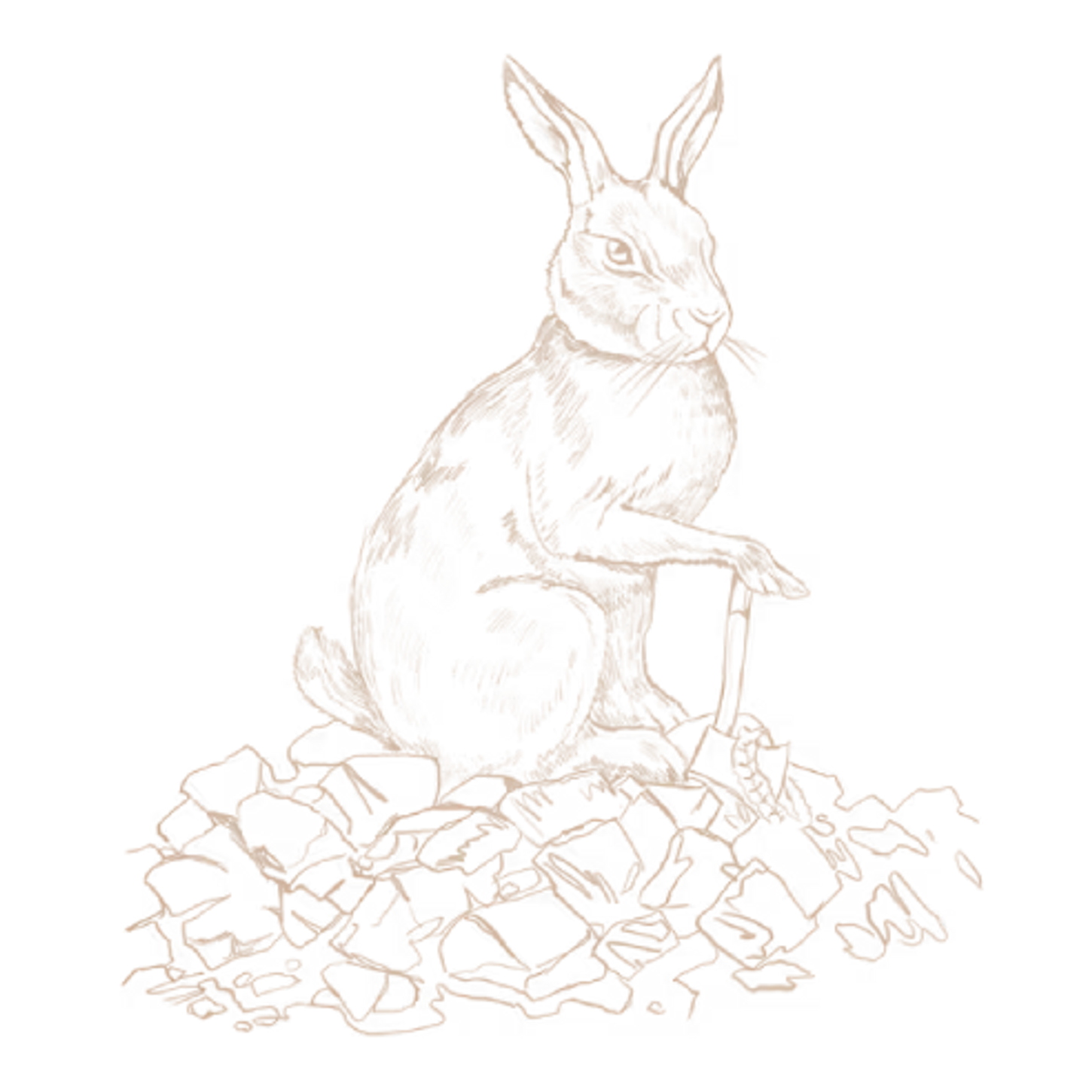 Black Rabbit, Arundel | Country Pub & Restaurant by the River