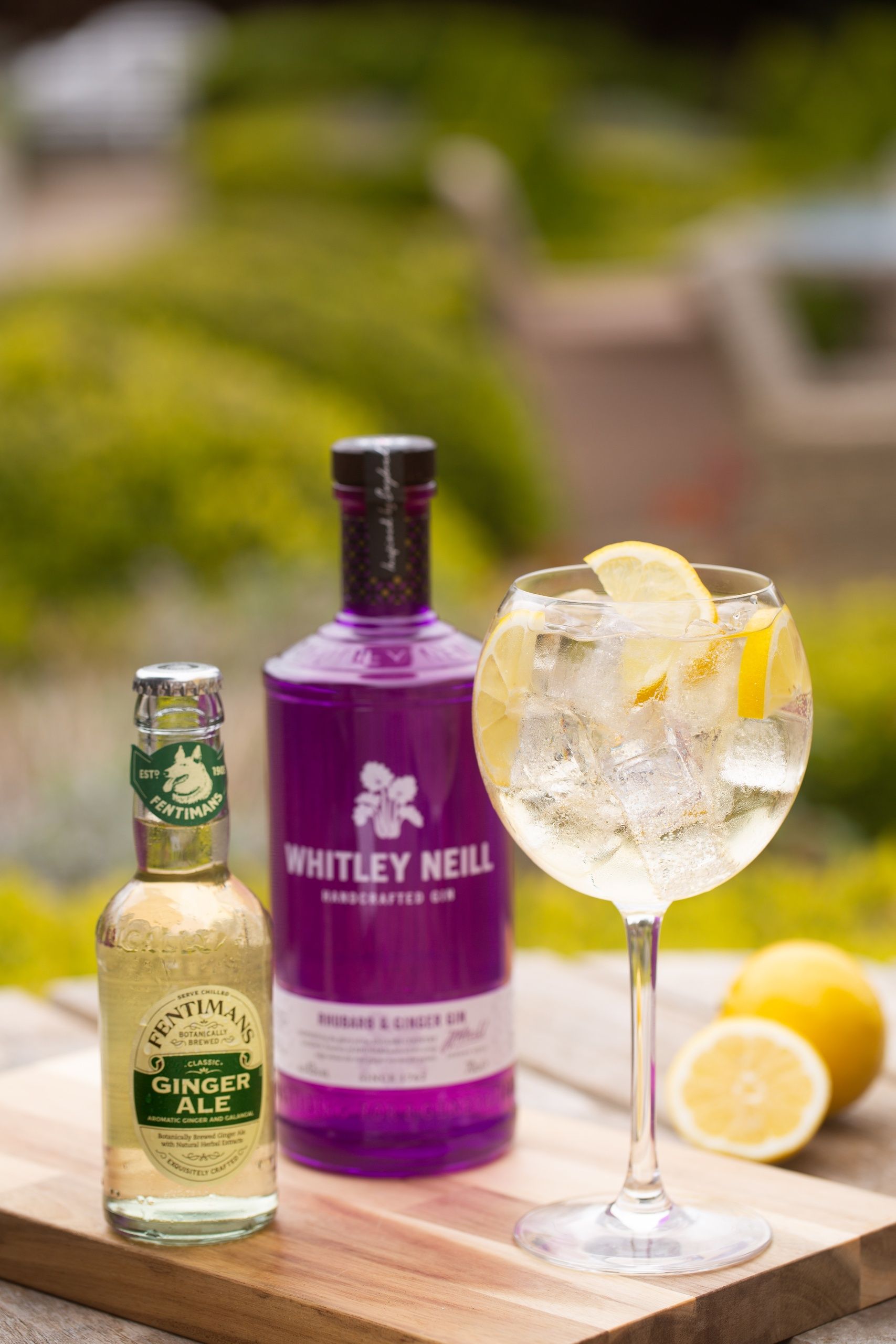 Black Rabbit, Arundel | Country Pub & Restaurant by the River