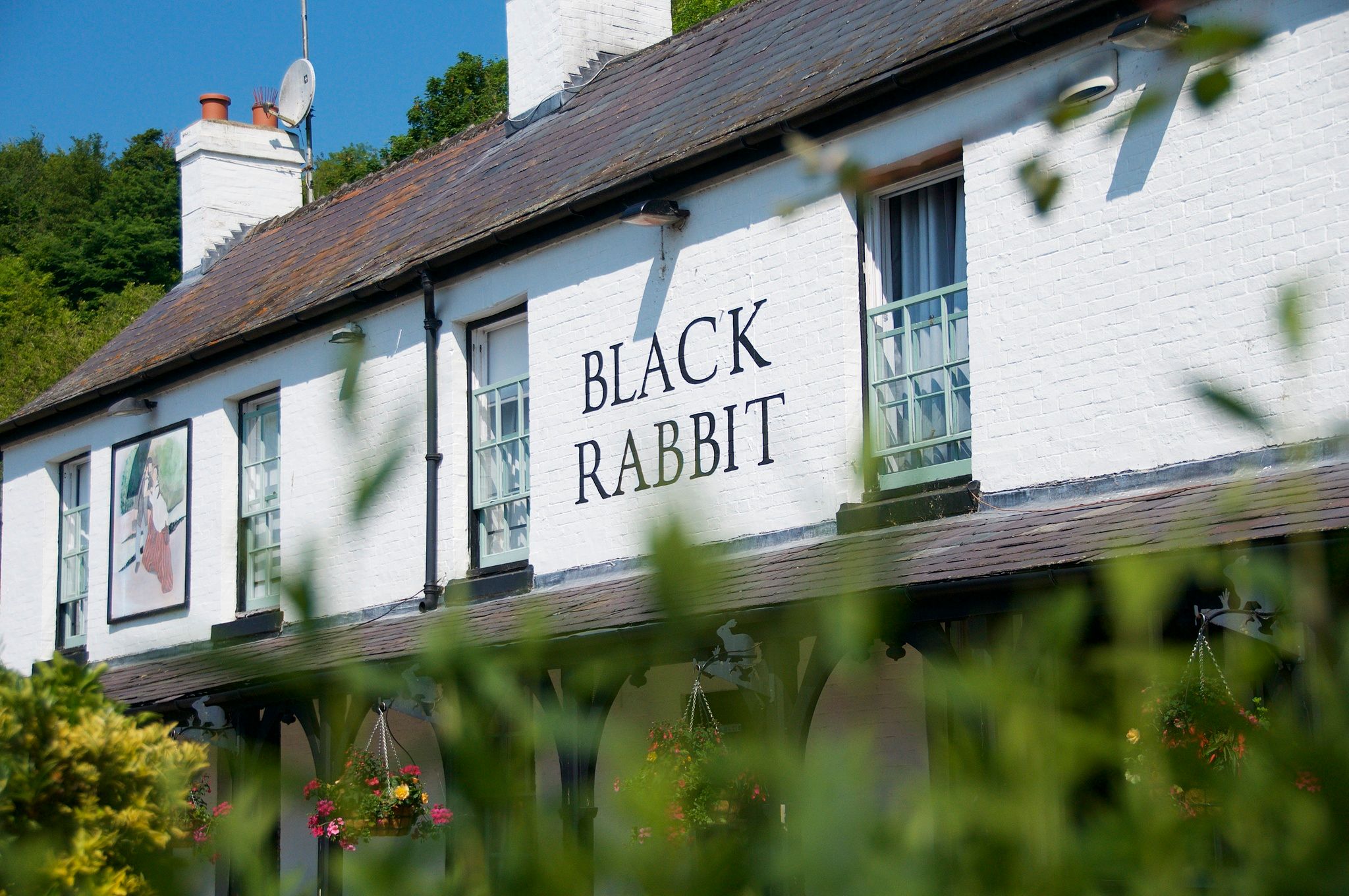 Black Rabbit, Arundel | Country Pub & Restaurant by the River