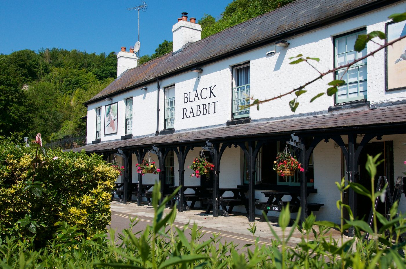 Black Rabbit, Arundel | Country Pub & Restaurant by the River